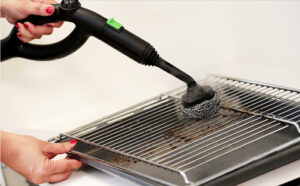 GENIUS Green Steam Cleaner - ניקוי בקיטור לבית ולמשרד - מחיר משתלם ...